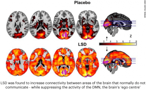 The Beckley/Imperial Psychedelic Research Programme |The Beckley Foundation
