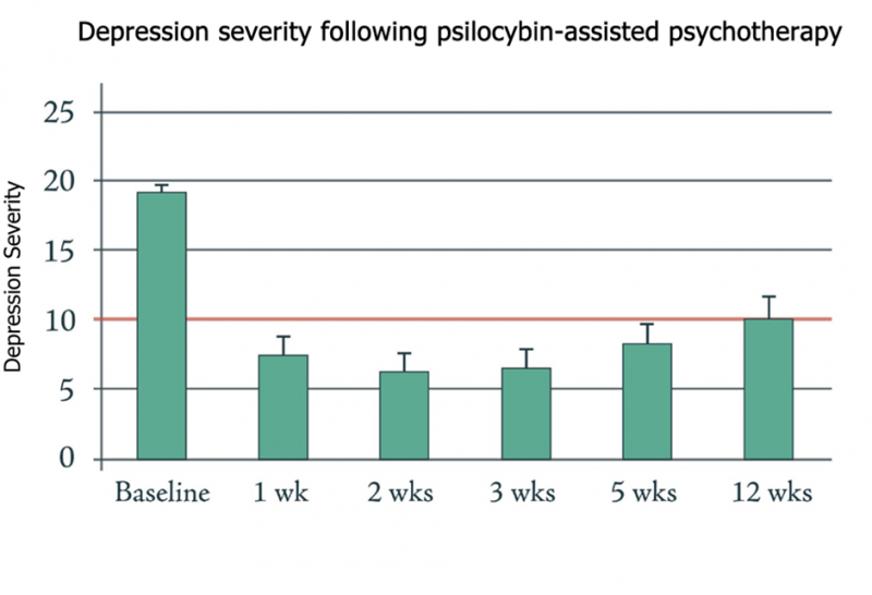Psychedelics Promote Neural Plasticity | The Beckley FoundationThe ...