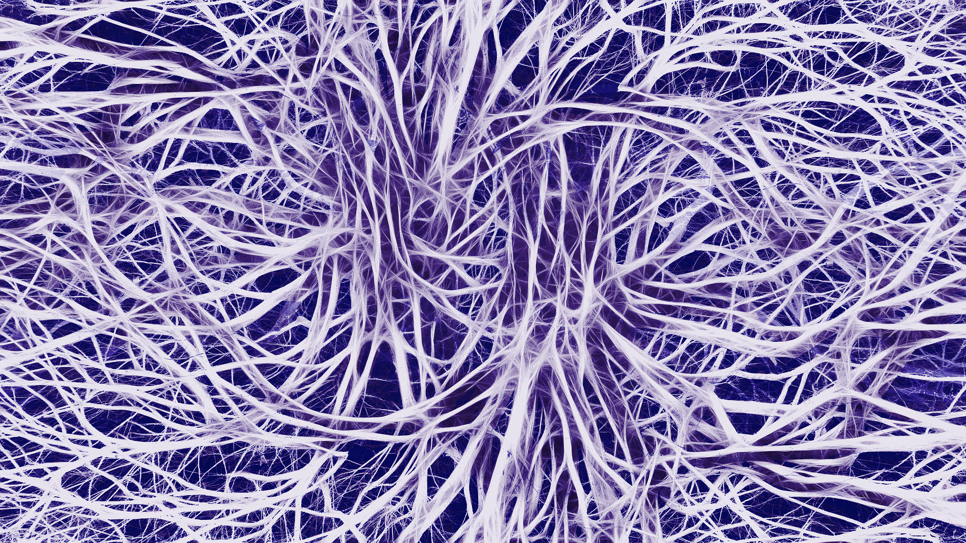 Microdosing and Neuroplasticity — The Beckley Foundation
